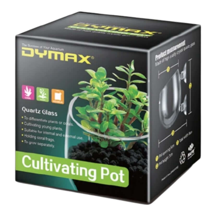 Dymax Crystal Cultivating Pot - Clear Glass Planter
