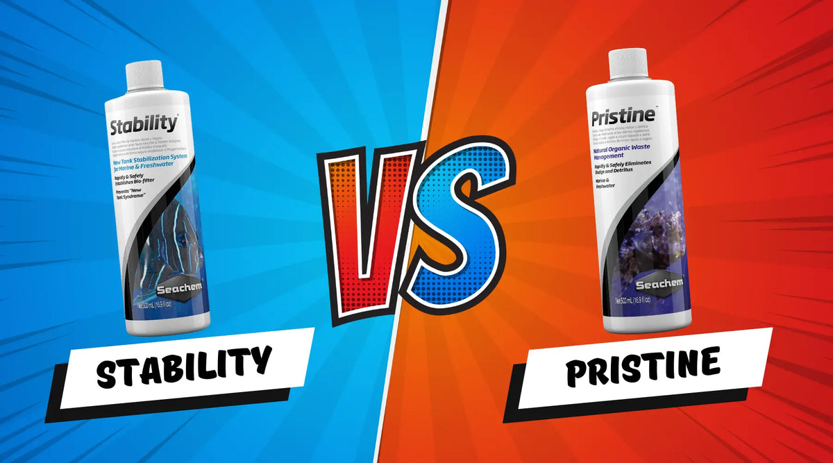 Seachem Stability vs Pristine: Key Differences Explained