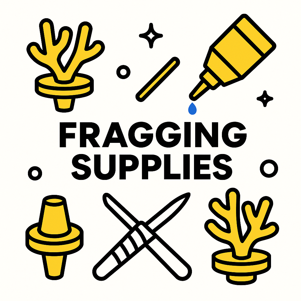 Best Fragging Supplies for Aquascape and Coral Propagation