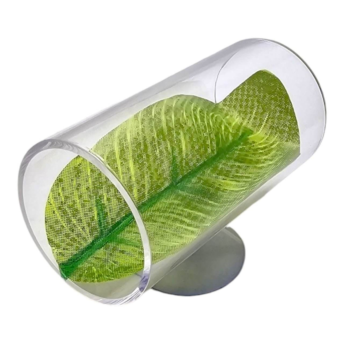 Betta Leaf Bed for Comfortable Fish Resting