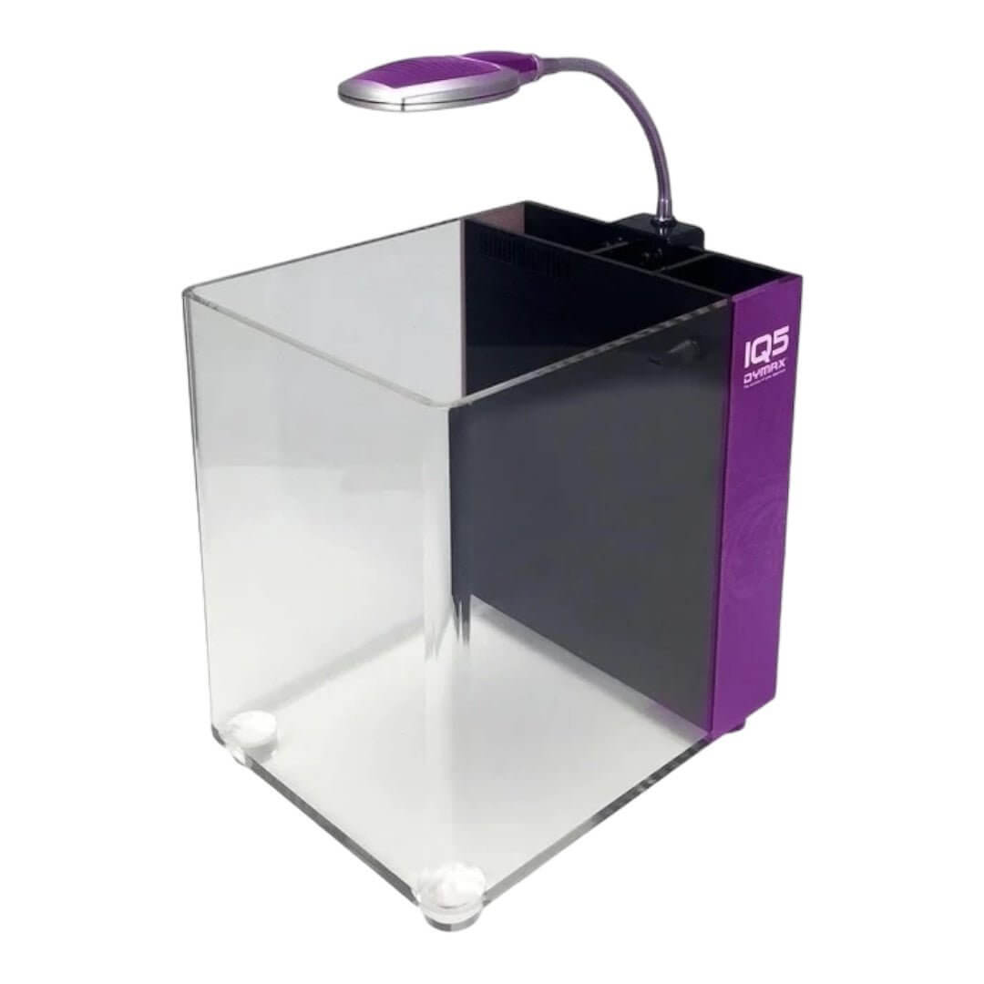 Dymax IQ5 Acrylic Aquarium - 13L with Dimmable LED