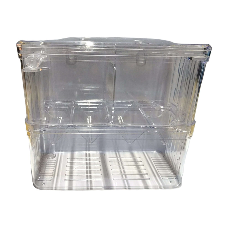 Fish Isolation & Breeding Boxes for Aquatic Pets