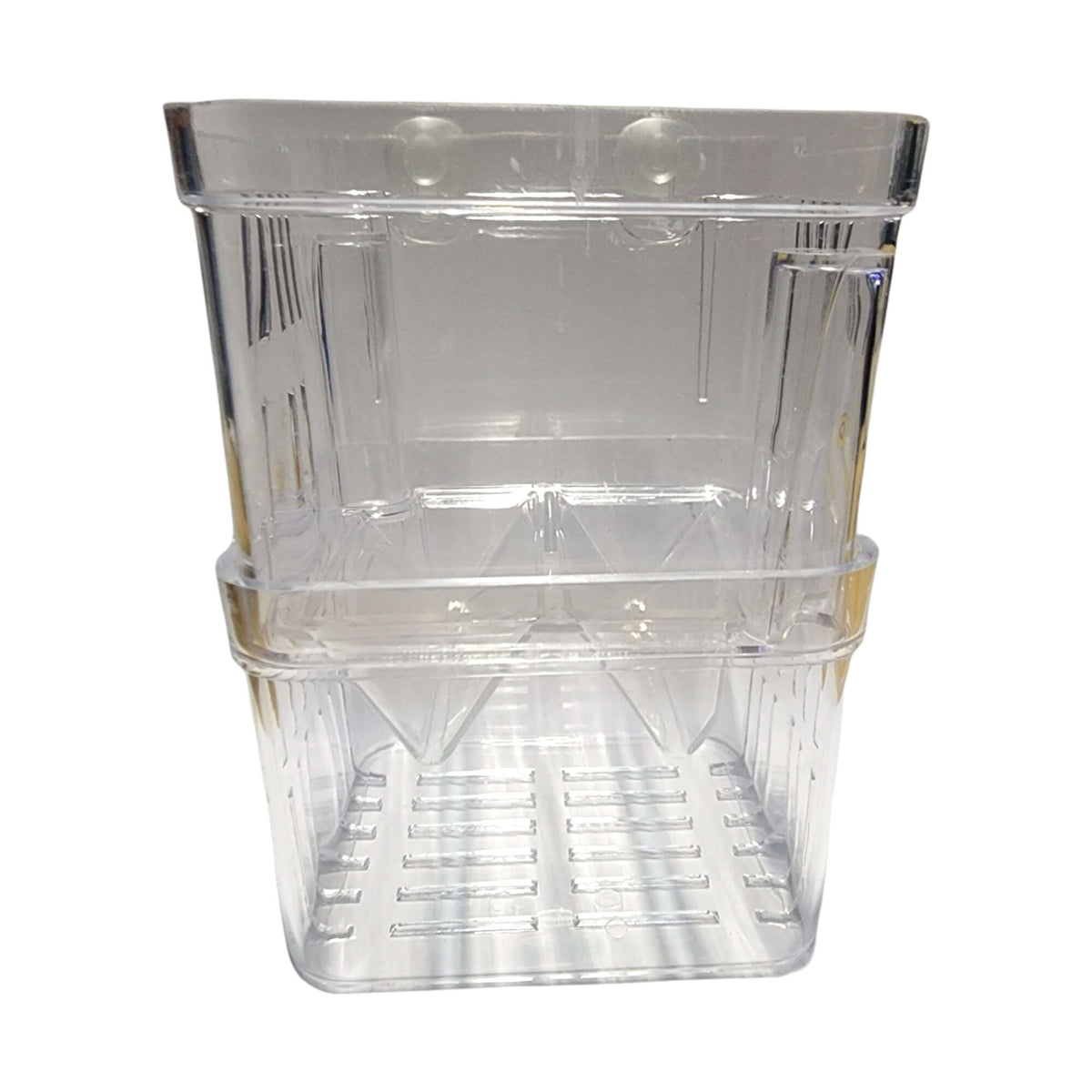 Fish Isolation & Breeding Boxes for Aquatic Pets